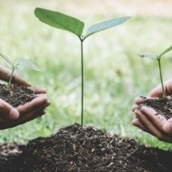 SuDS Design Guides & Tips | Sustainable Drainage Systems